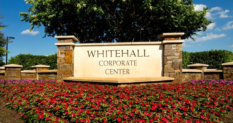 Whitehall Welcomes New Tenants :: American Asset Corporate